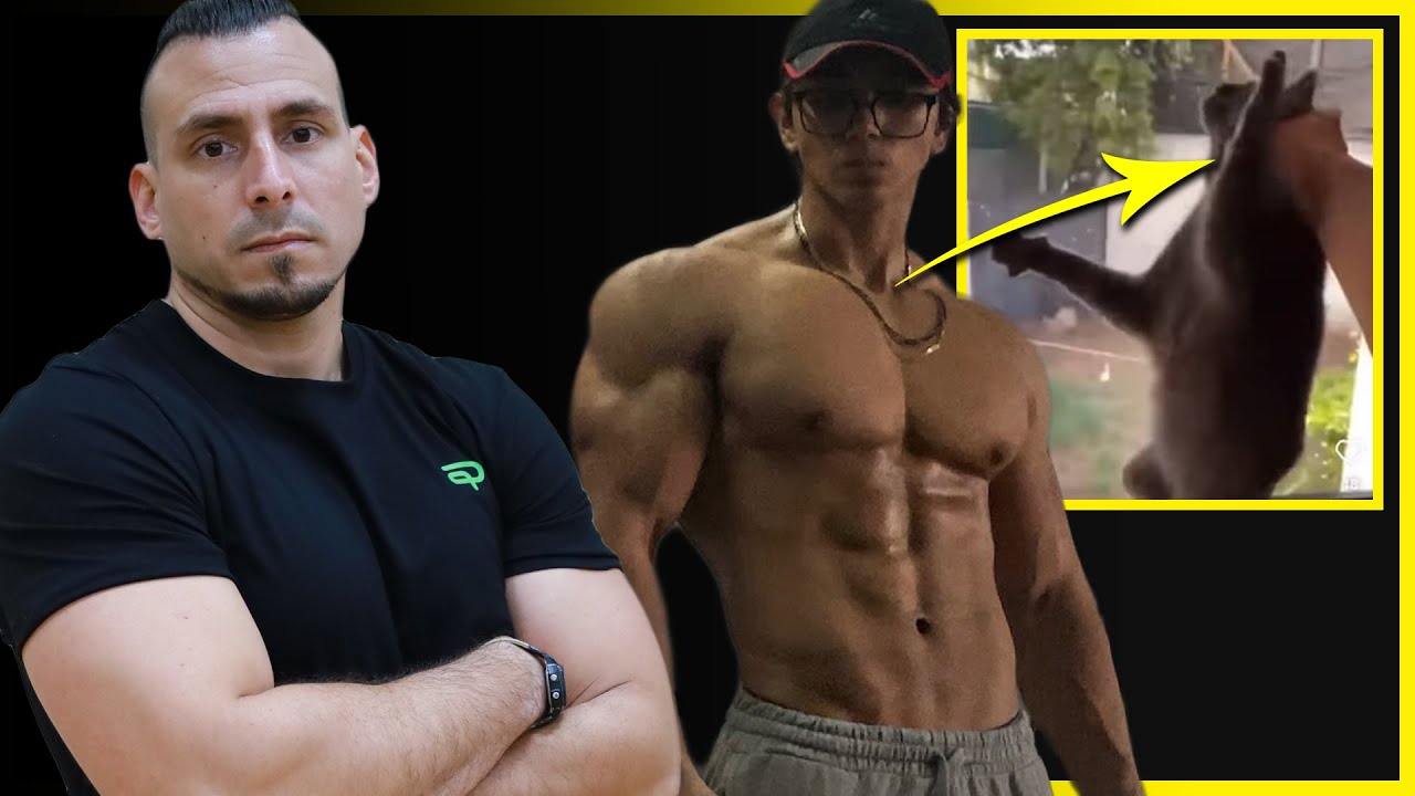 Daddy Aioli y el TEMA del GATO - YouTube