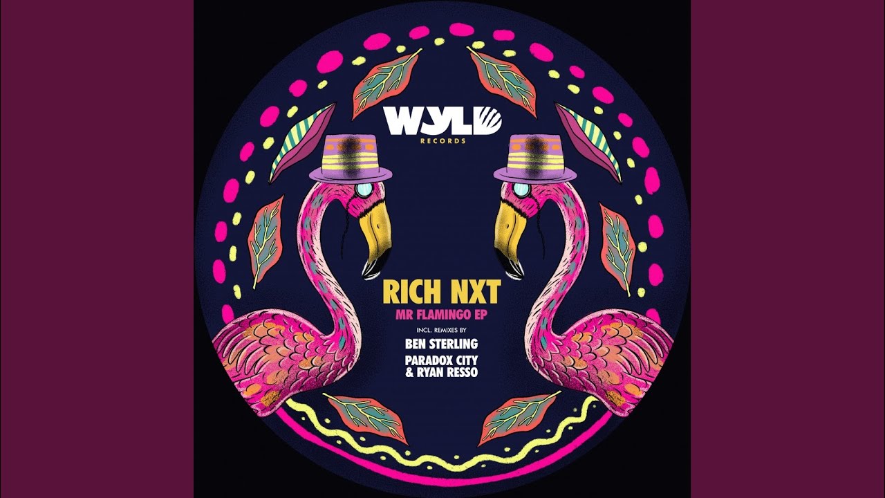 Mr Flamingo (Original Mix) - YouTube