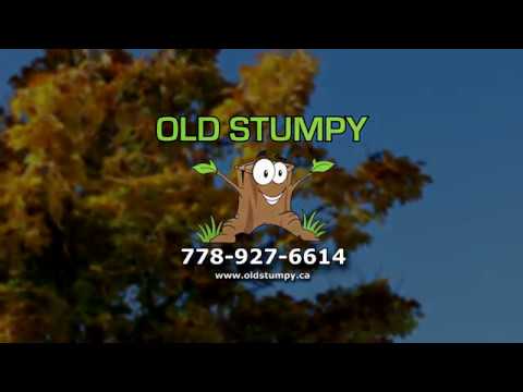 Old Stumpy - YouTube