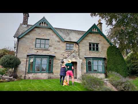 Revealing the FIRST Finished Room in Our 300-Year-Old House! (And It’s For The Dogs)