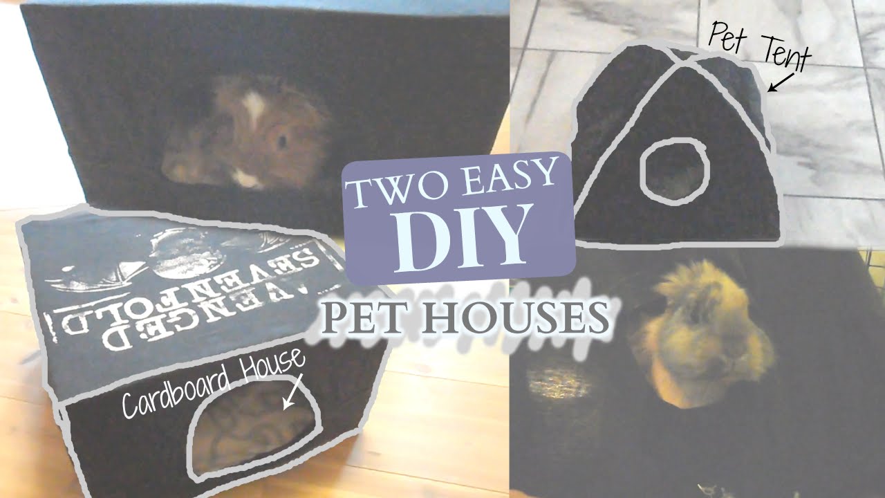 Two Easy DIY Pet Houses - YouTube