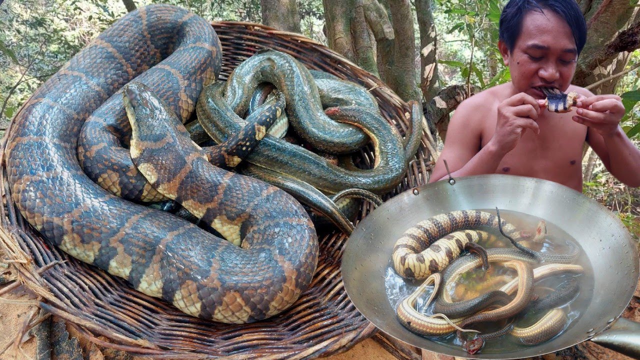 Giant Two Kilograms Of Snakes To Cook With Bamboo Shoot - YouTube