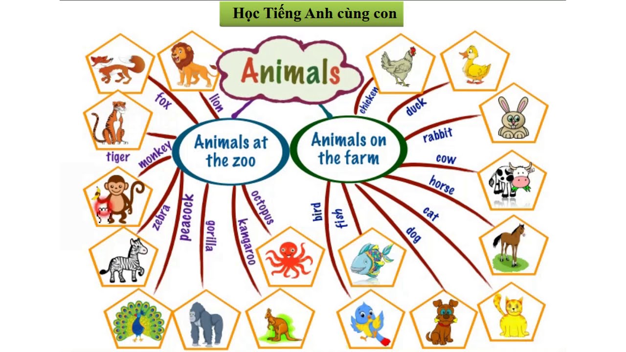 Học Tiếng Anh bằng mindmap - Chủ đề Animals - YouTube