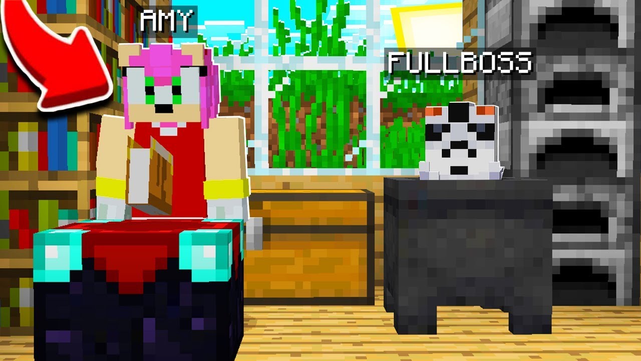JAMAIS AMY ROSE ME TROUVERA DANS CETTE CACHETTE SUR MINECRAFT ! - YouTube