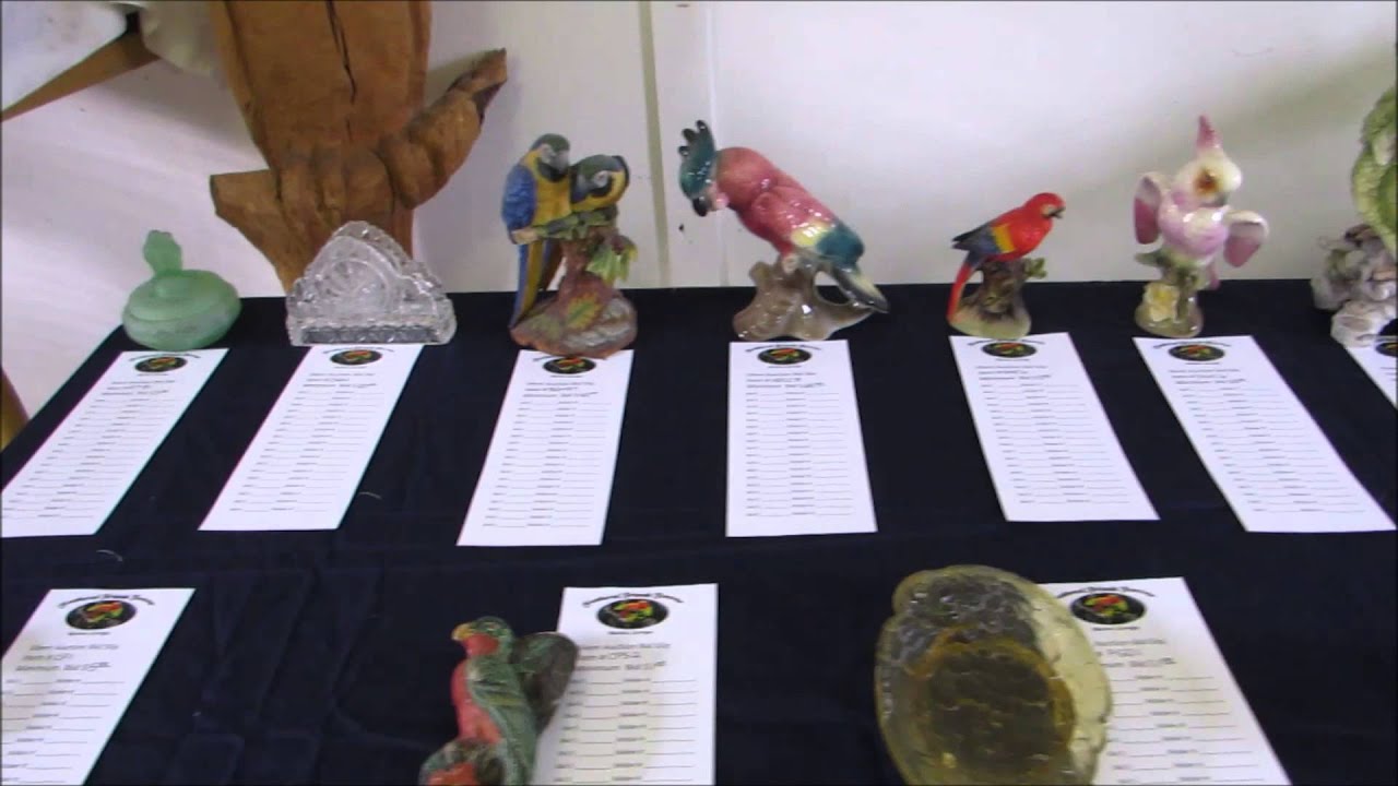 Freedom the Parrot, Baby & Rambo with Unique Parrot Artwork ...