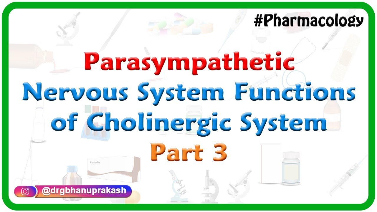 5.Parasympathetic Nervous system - Functions of cholinergic system Part ...