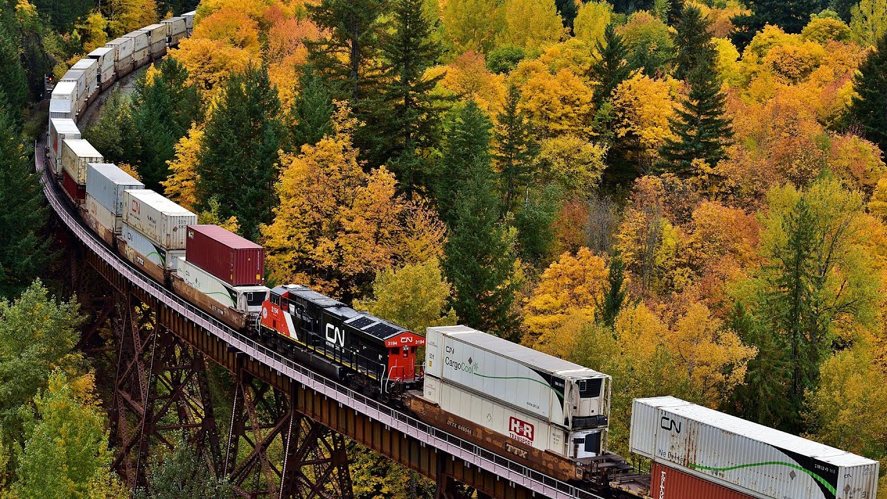 BEST OF FALL IN THE CANYON! MASSIVE LASHUP, 7 Trains, Big Bridge ...