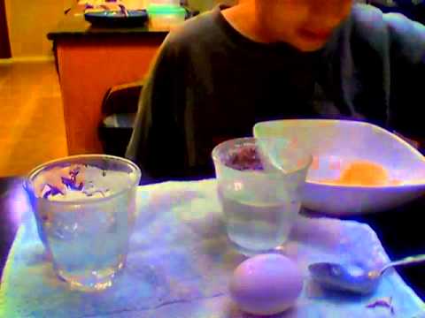 Naked Egg Experiment - YouTube