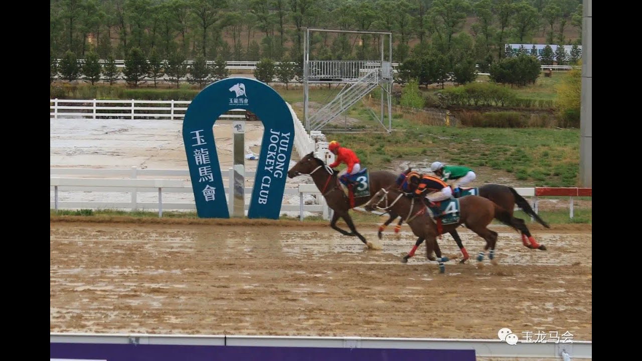 20210515 Yulong Class 5 (45 and lower) 1200m (Race 4) 玉龙国际赛马公开赛D1 第4场 五 ...