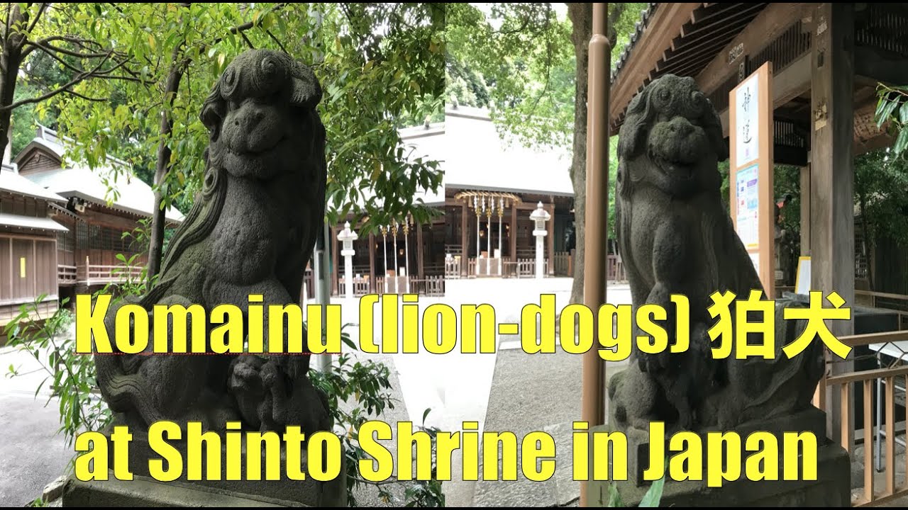 Komainu (lion-dogs) at Shinto Shrine in Japan 狛犬 - YouTube