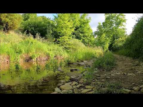 Yaz deresinde tatlı su sesi..  Doğa, orman, kuşlar.. Dinlendirici soft meditasyon müziği