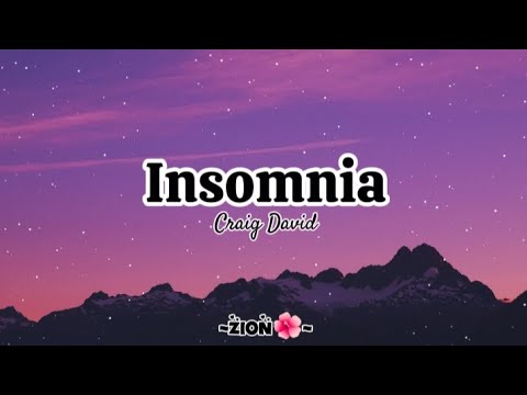 Insomnia (Song Lyrics) - Craig David - YouTube