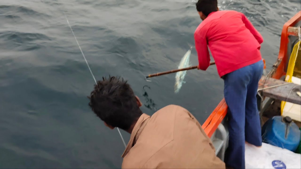 🎣🎣🦈 King Fish Mangrol Bara 🎣 Surmai Fish 🐟 - YouTube