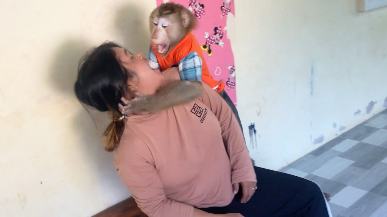 Little Jason Deliberately Aggressive Demand Hug Tight Not Let Mom ...