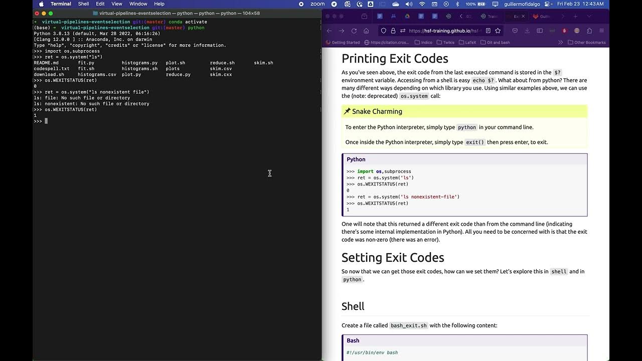 HSF Training: Gitlab CI/CD - 02 Exit codes - YouTube