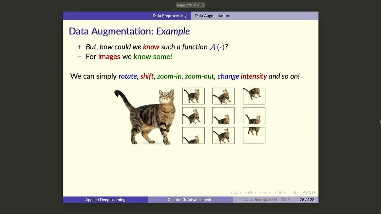 UofT - ECE1508 -- Applied Deep Learning -- Lecture 12: Data Augmentation and Cleaning - YouTube