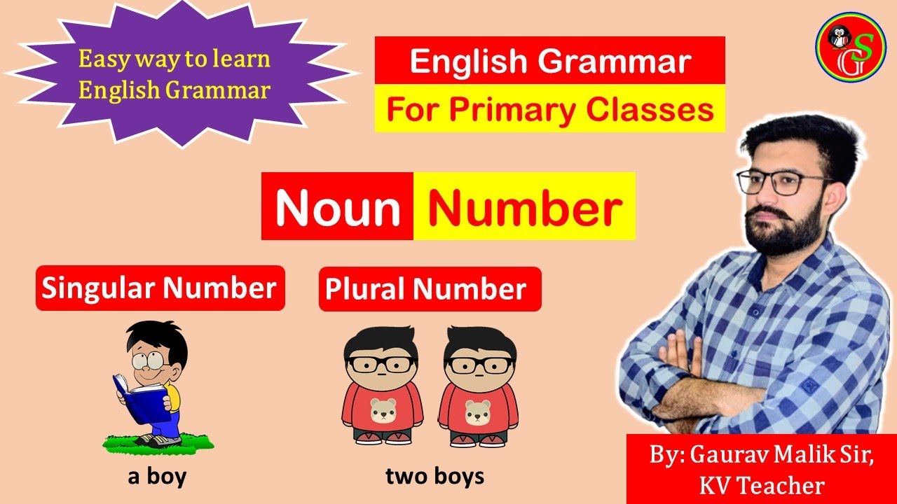 Noun Number, Singular and Plural Nouns English Grammar | School Guide ...