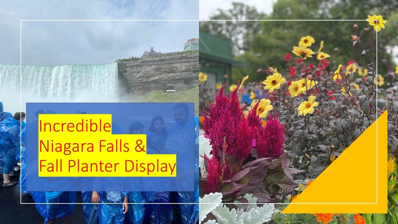 Beautiful Niagara Falls | Fall Container Inspiration | Backyard Garden ...