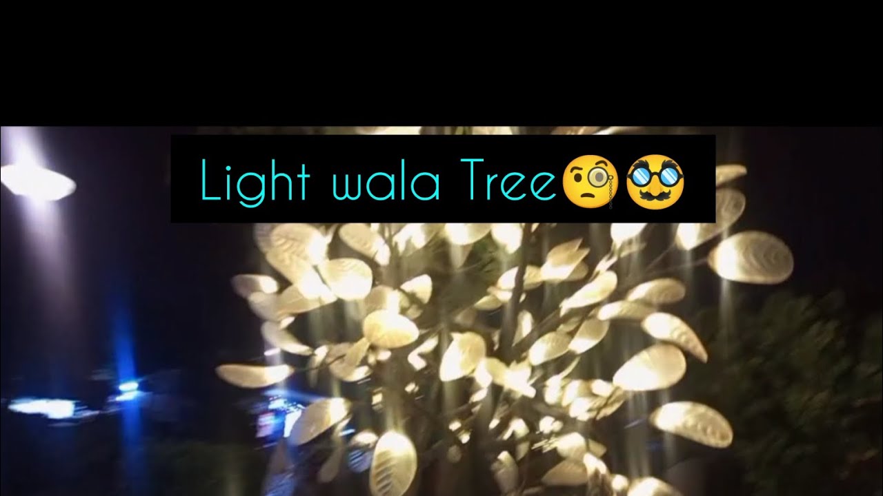 light wala tree🤓🧐#fun in park#kids#sunday routine#likeandsubscribe # ...
