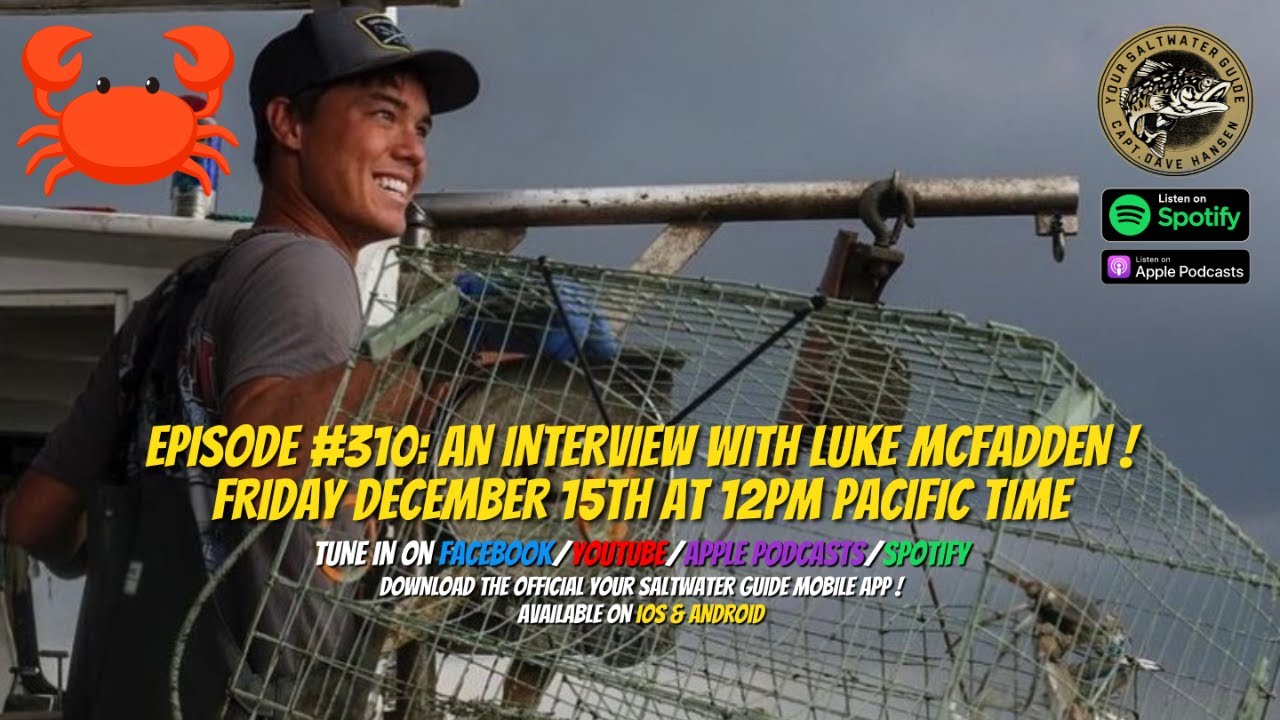 Episode #310: An Interview with @fvsoutherngirl (Bodkin point seafood ...