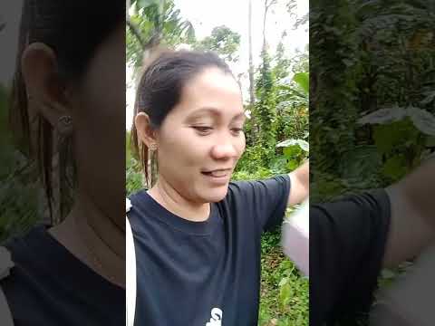 meryenda na pweding almusal/tanghalian /hapunan!!@anlenvlogs #kamusang - YouTube