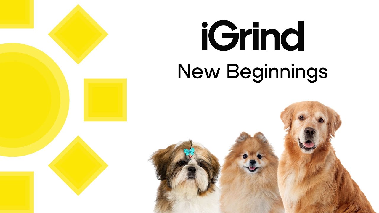 A Quick and Easy Grooming Service! - iGrind - YouTube