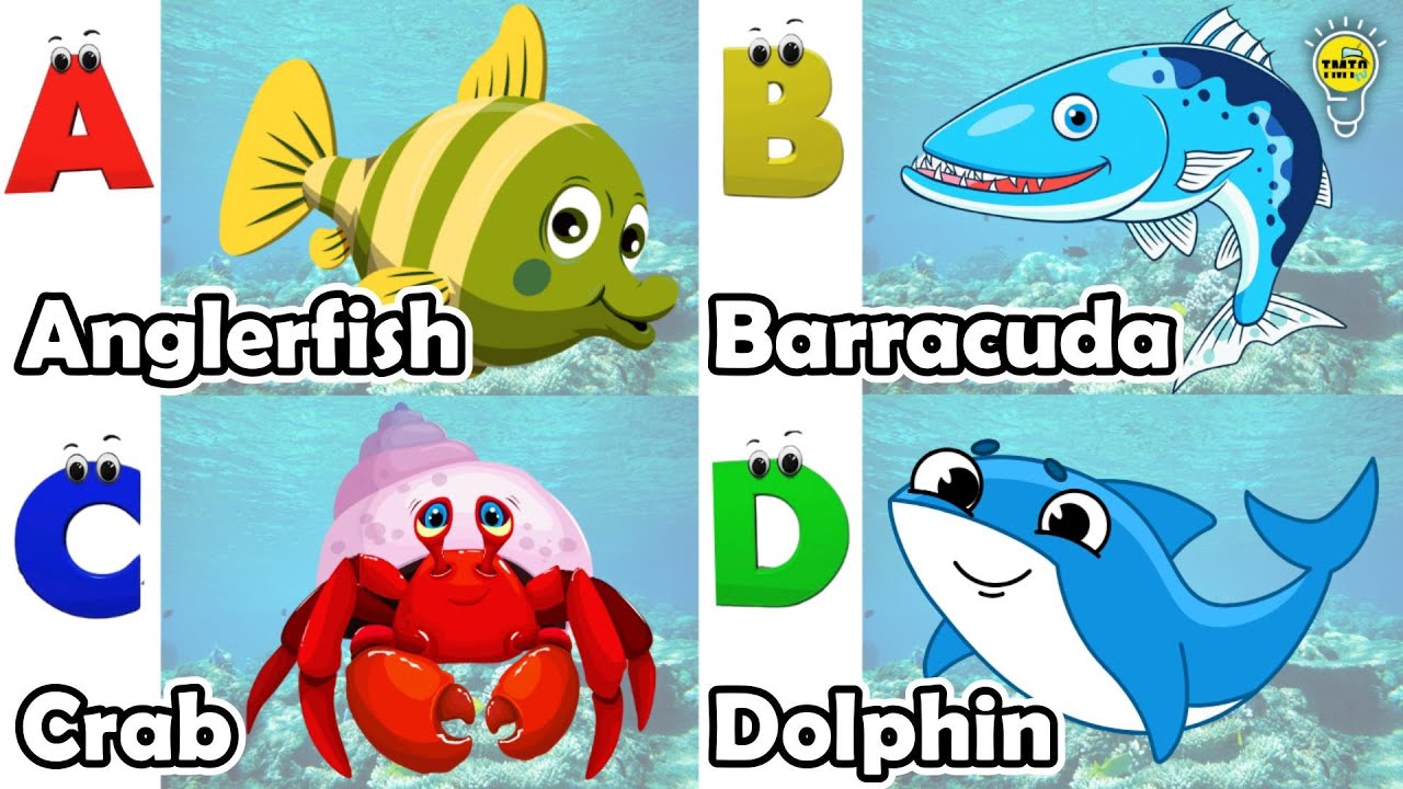 ABC Sea Animals song | Learn Alphabets | English and Animals for Kids ...
