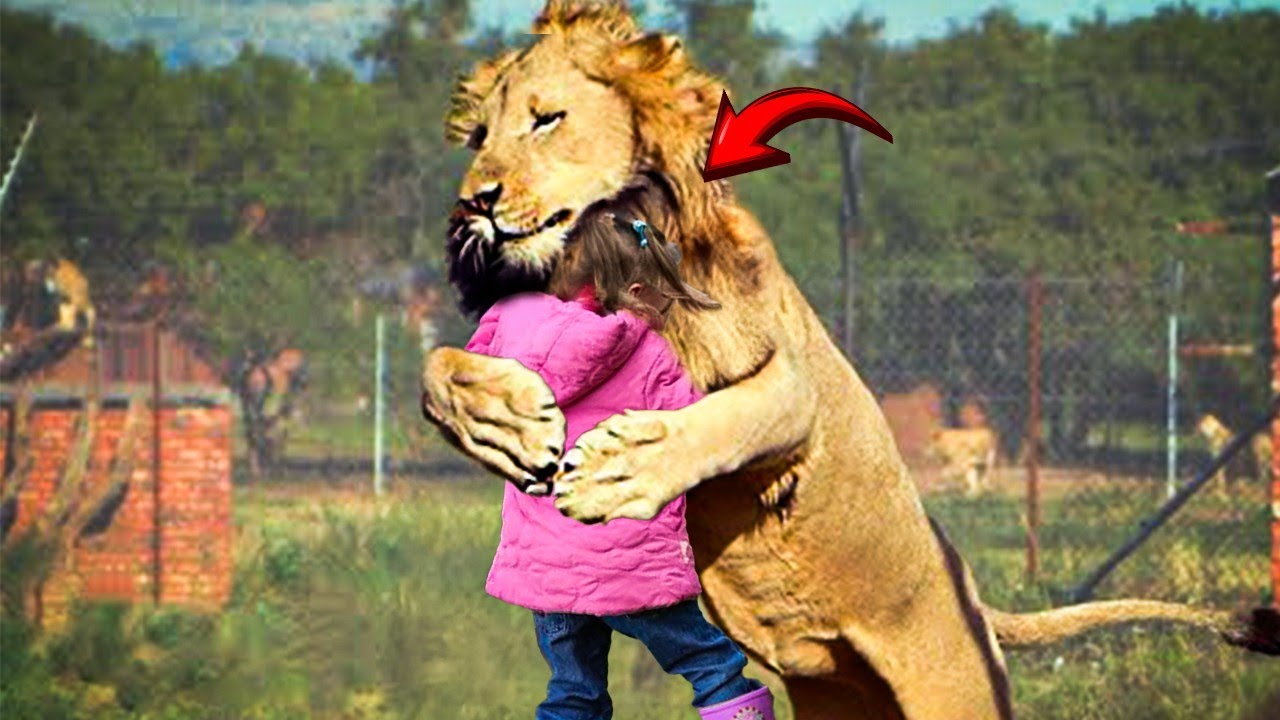 Animals Reunited With Owners After Years - YouTube