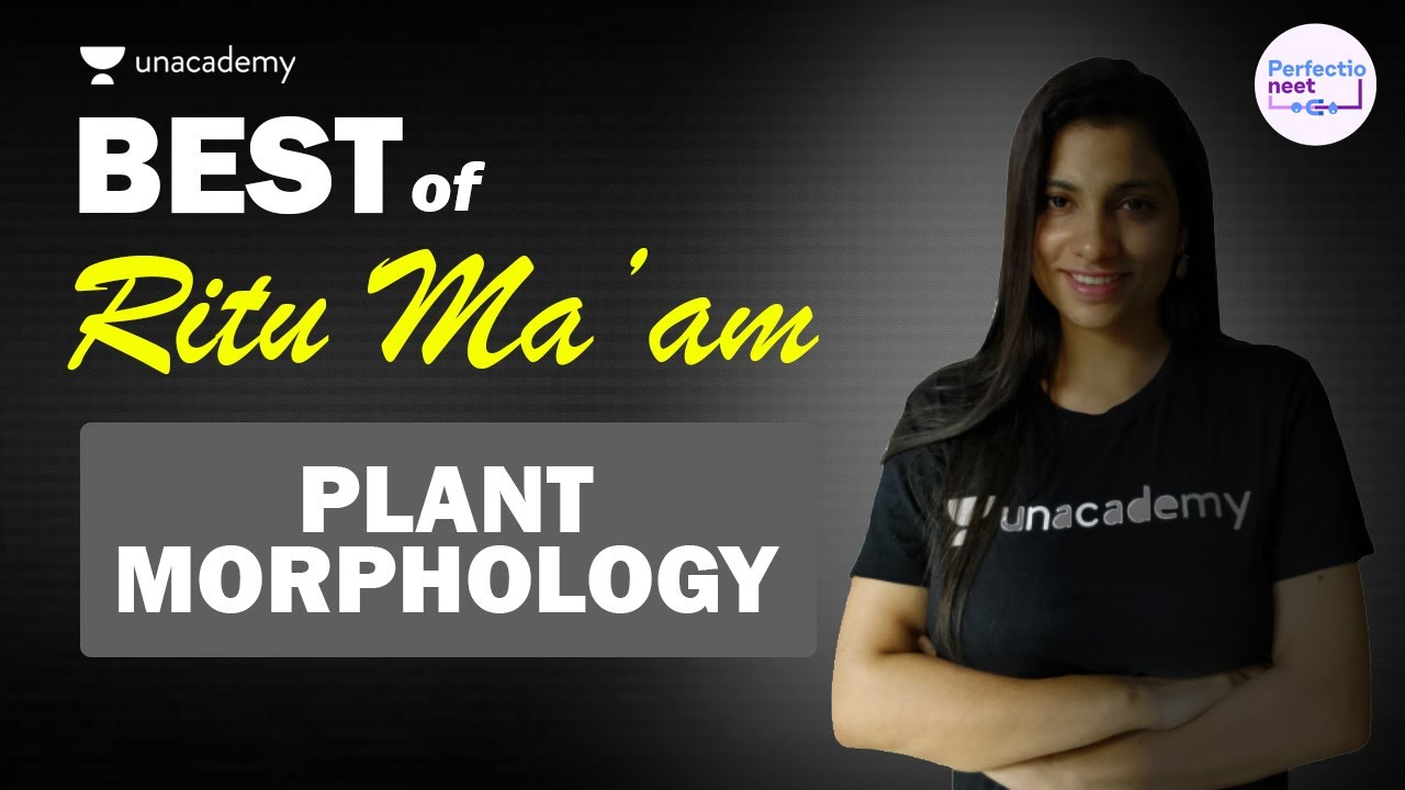 Best of Ritu Rattewal | Plant Morphology | NEET Biology | NEET 2021 ...