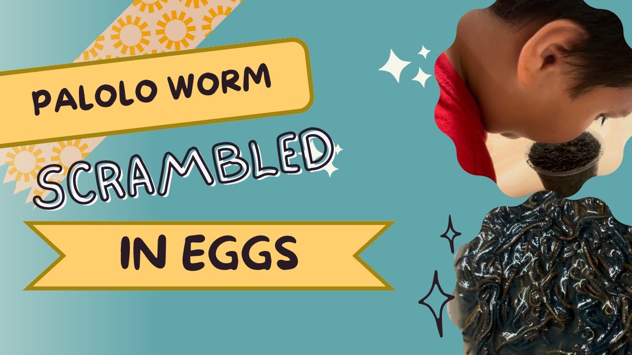 Palolo worm cooked with eggs - YouTube