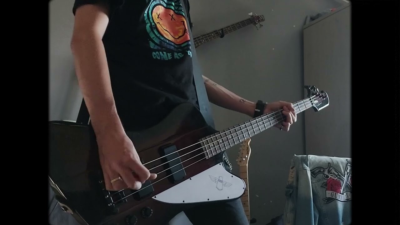 [BASS] Nirvana - Polly (Live At The Paramount, Seattle / 1991) - YouTube