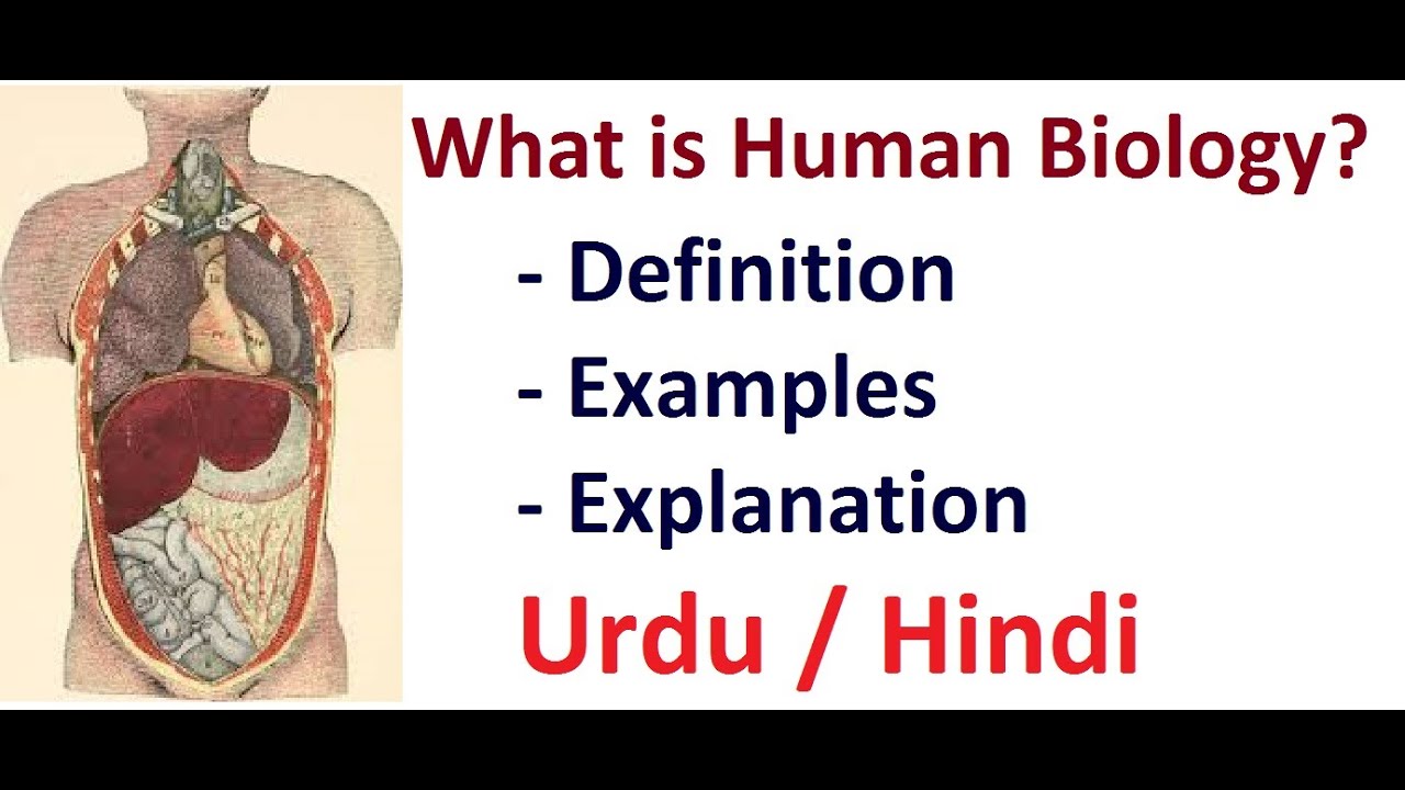 What Is Human Biology Urdu Hindi YouTube What Is Human Biology Urdu Hindi YouTube