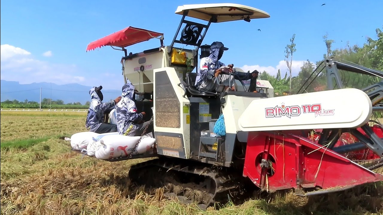 KOMBI SAWAH BESAR BIMO 110 PLUS DI KARANGAN BALONG PONOROGO - YouTube