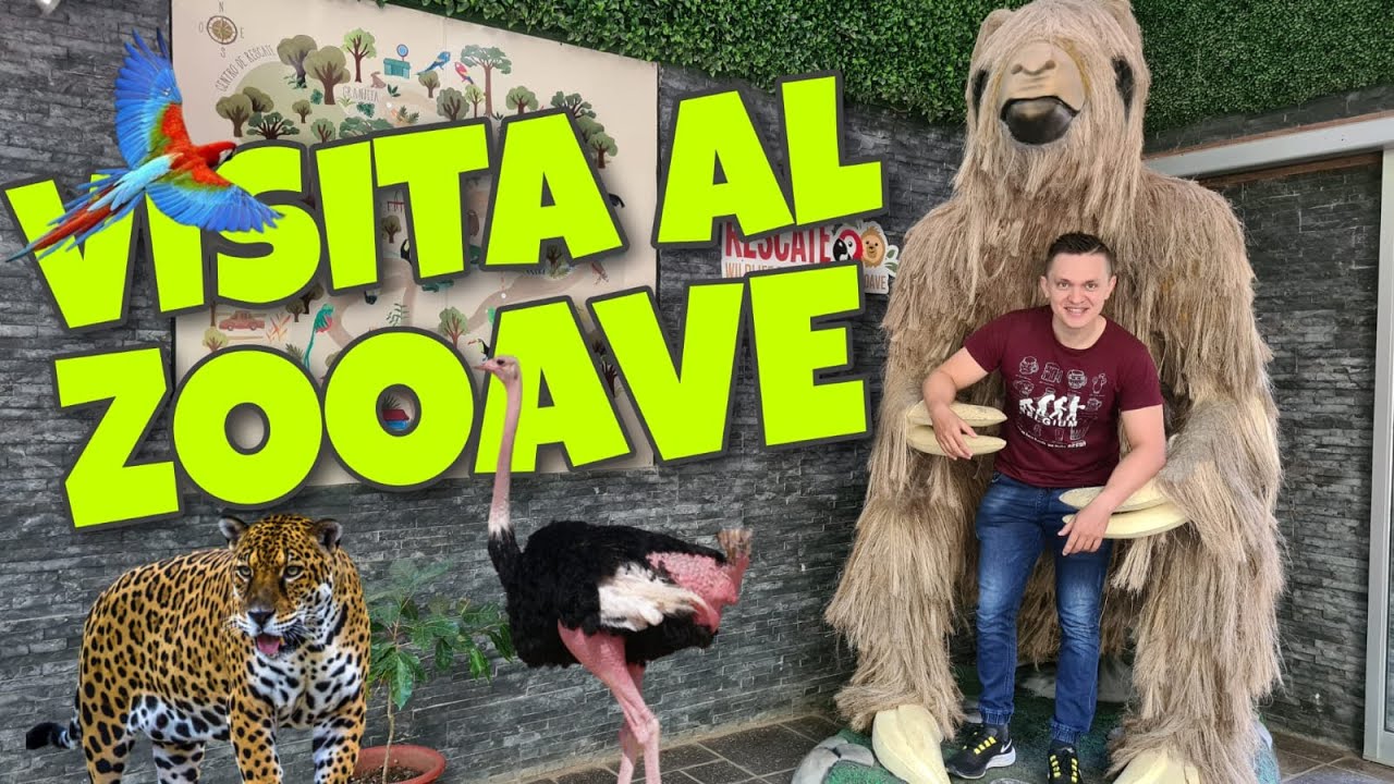 Un día en ZOOAVE-WILDLIFE RESCUE CENTER - YouTube