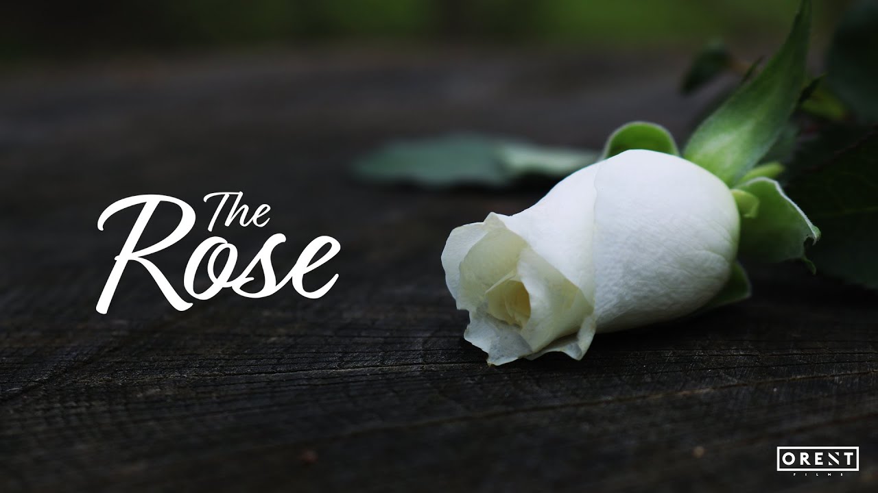 The Rose - Short Film (2021) - YouTube