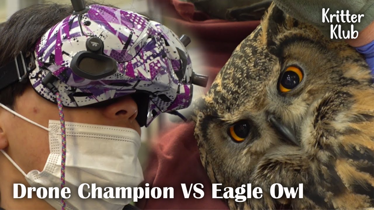 Incredible Race Of Eagle Owl VS DRONE CHAMPION (Part 2) l Kritter Klub ...