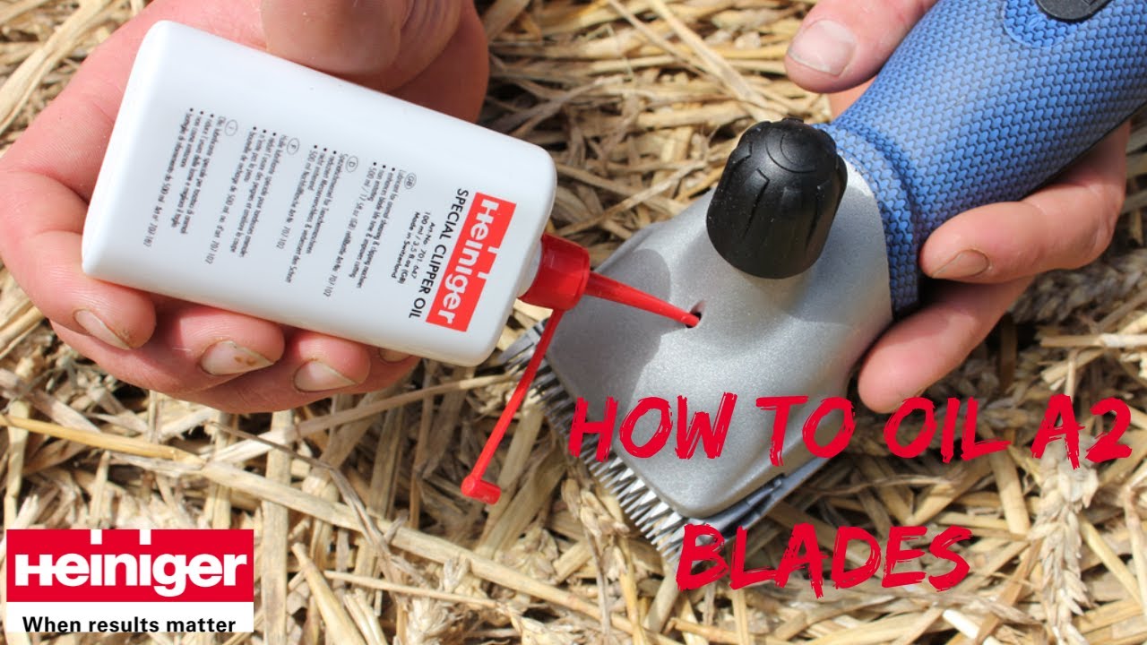 How to Oil Heiniger A2 Blades - YouTube