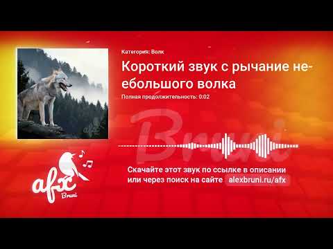 Звук: Короткий звук с рычание небольшого волка