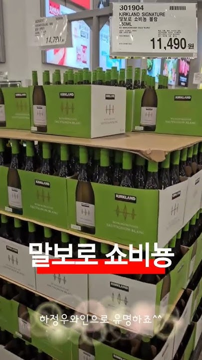 코스트코 가성비 와인추천 Youtube
