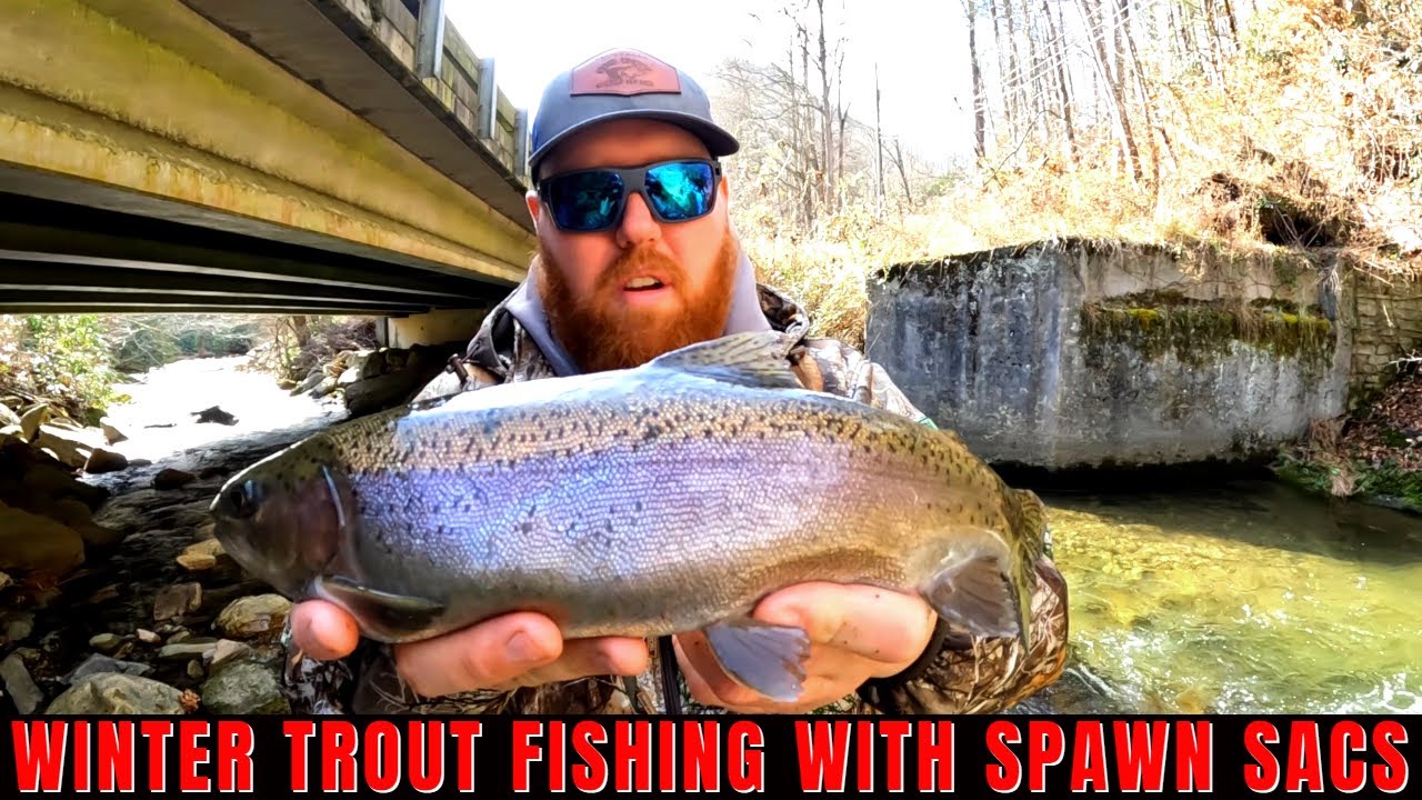 Winter Trout Fishing With Spawn Sacs - YouTube