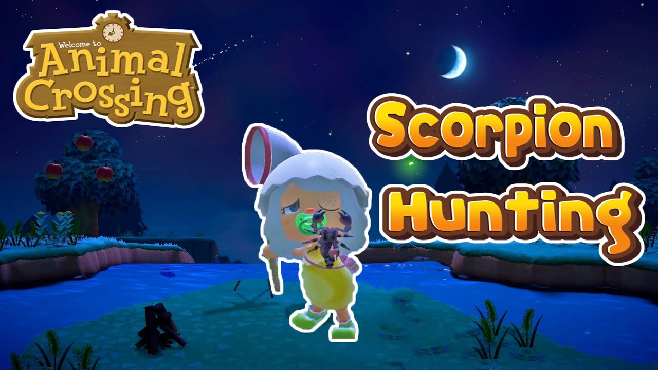 LIVE Animal Crossing New Horizons Scorpion Hunting - YouTube
