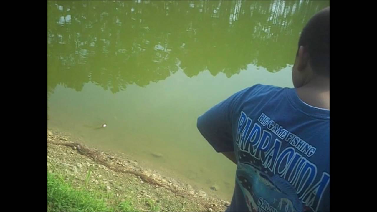 FISHING AT MADISON COUNTY LAKE: FREE TO FISH - YouTube