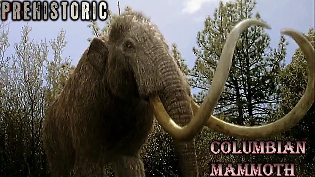 prehistoric Columbian Mammoth screen time - YouTube