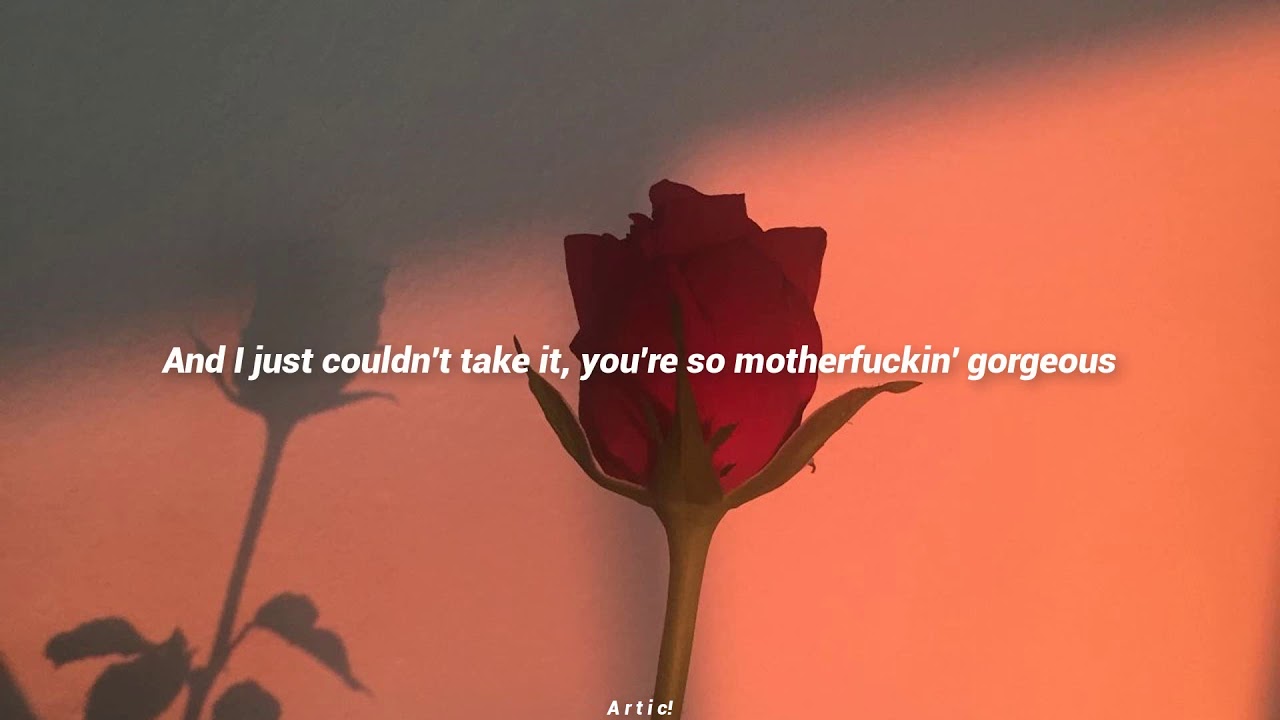 Tyler The Creator She Lyrics