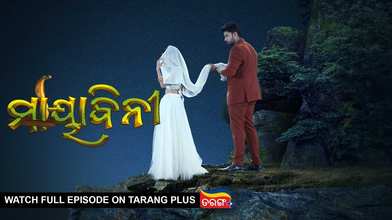 Mayabini | Ep 31 | 21st Nov 2022 | Watch Full Episode Now On Tarang ...