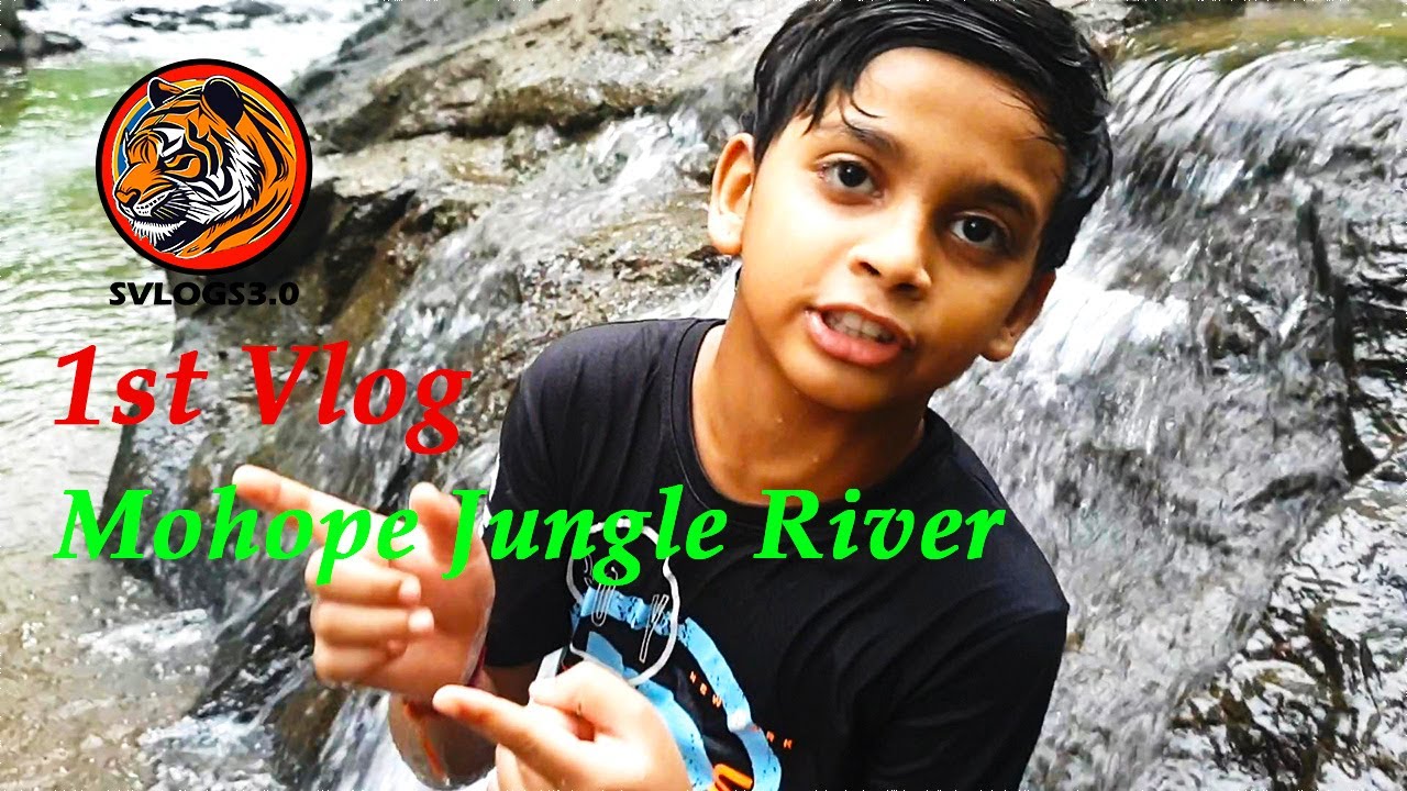 welcome to my new vlog Mohope Jungle River-vlog-1 #vlog #svlogs3.0 # ...