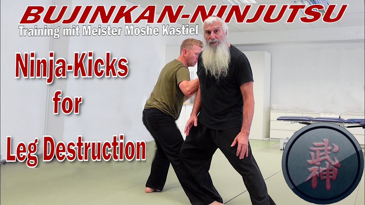 Bujinkan-Ninjutsu: Kick-Combinations - Leg Destruction - YouTube