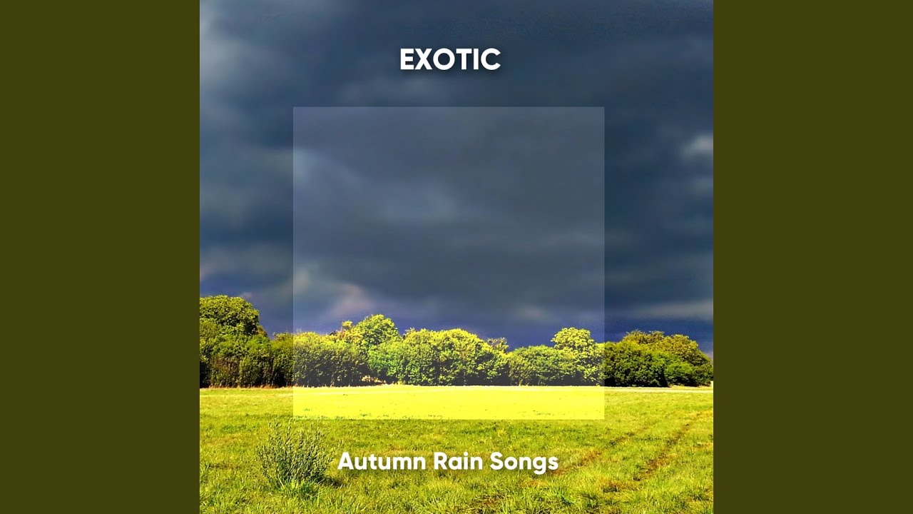Meditation Sounds Rain Sounds Youtube