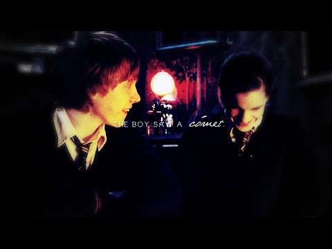 Ron & Hermione | The Boy Saw A Comet (For Maja)