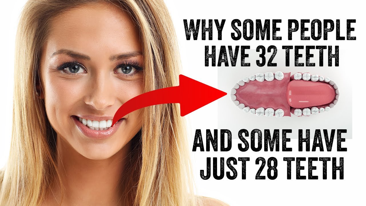 Why some people have 32 teeth, and some have just 28 teeth - Chat with ...